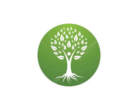 Tree Symbol Vector Icon Illustration Tree Branch Vector Vector Tree Branch Vector Png And