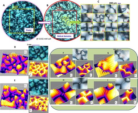 The Replica Or Self Similarity Of Equilibrium States Of Chiral