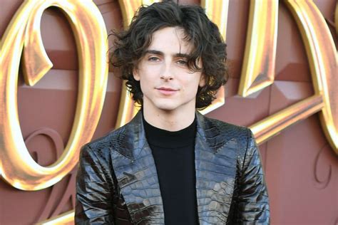 See Timoth E Chalamet S Red Carpet Outfit At Wonka L A Premiere Photo