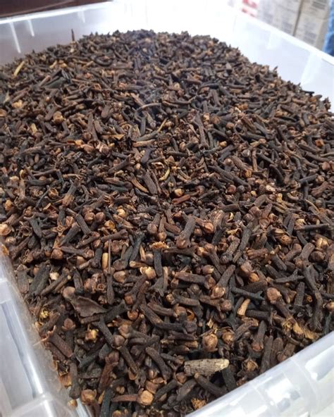 Por Qué El Clavo De Olor Te Ayuda Adelgazar Los Secretos De Esta