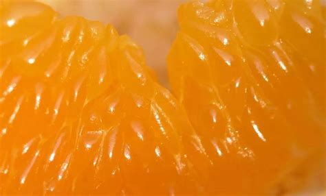 春见耙耙柑清甜多汁、果粒大爆炸，从眼睛到胃都滋润润～ 搜狐大视野 搜狐新闻