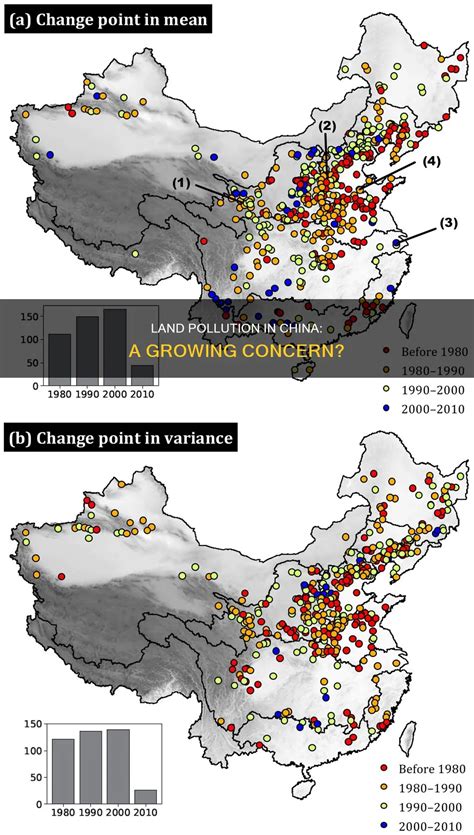 Land Pollution In China A Growing Concern Shunwaste