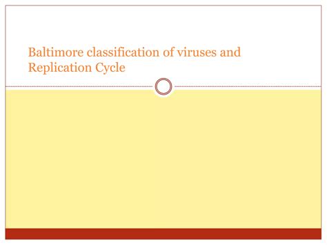 Replication Of Viruspptx