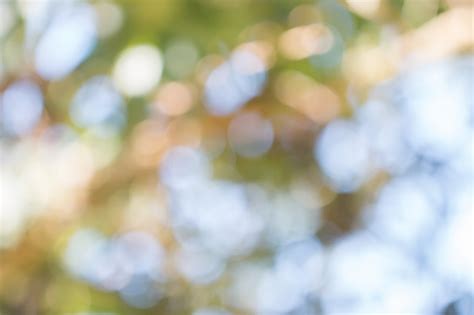 초록 흐림 복사 공간 배경 흐리게 자연 단풍 밝은 여름 또는 텍스트 광고에 대 한 봄 햇빛 질감에 대 한 태양 빛 플레어의 녹색 Bokeh 0명에 대한 스톡 사진 및 기타