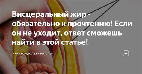 Висцеральный жир обязательно к прочтению Если он не уходит ответ сможешь найти в этой статье