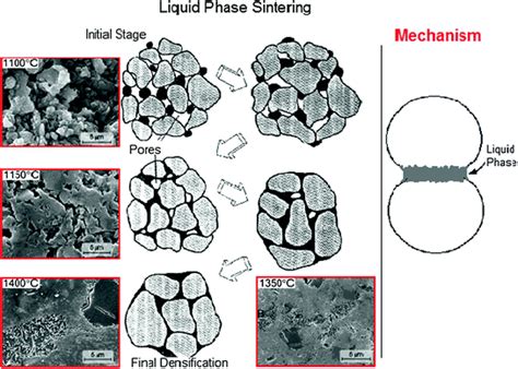 Microstructure Of Ceramic Materials Pocket Dentistry