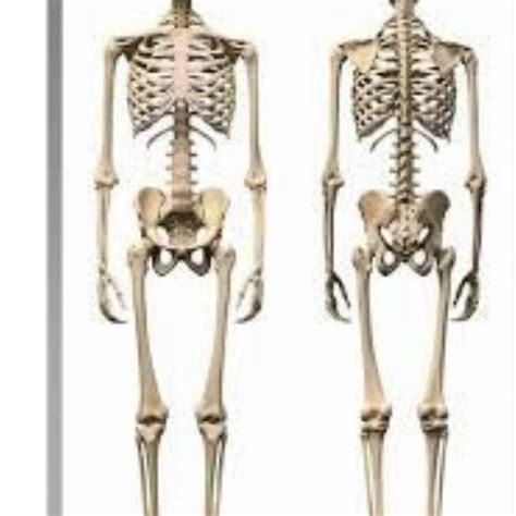 Highfield Ce Primary School Life Lab