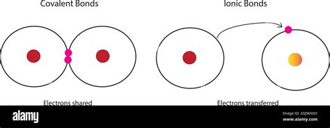 Ionic Bonds And Covalent Bond Stock Vector Image Art Alamy