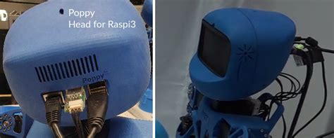 Head Assembly · Documentation Of The Poppy Platform