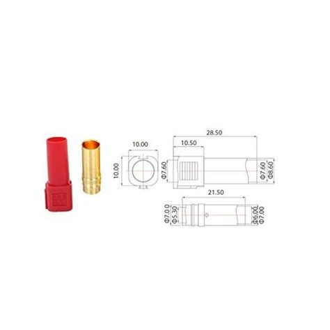 Xt Gold Plated Female Connector Buy Online At Low Price In India Electronicscomp Com