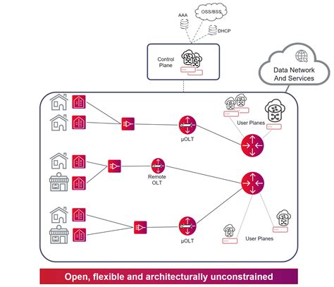 Ciena S VBNG Deep Dive Unleashing Broadband Service Flexibility And
