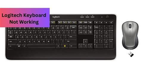 Logitech Keyboard Not Working Everything Is Here To Know