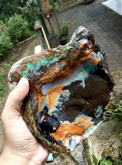 20 Mesmerizing Opals And Opalized Objects Ebaums World