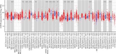 Pancancer Analysis Of Cox7b Expression Download Scientific Diagram