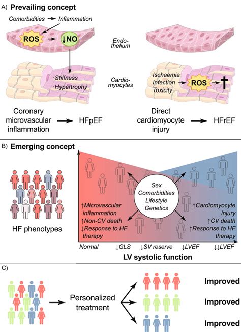 Evolution Of Pathophysiological Understanding Of Hfpef [84] A