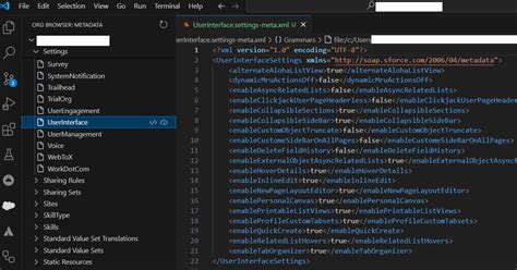 How Can I Programmatically Toggle Checkboxes In Salesforce User
