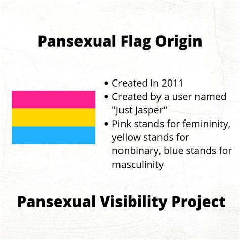 Pansexual Flag Meaning