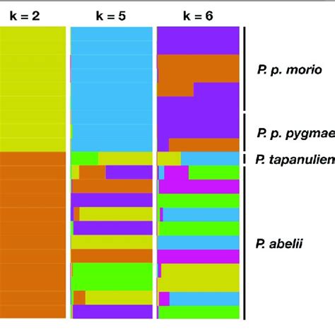 Bayesian Clustering Analysis Of Population Structure Of The Genus Download Scientific Diagram