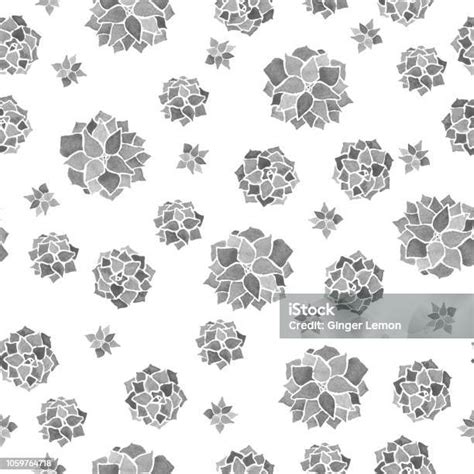 Echeveria 현대 수채화 흑백 원활한 패턴 흰색 배경 0명에 대한 스톡 벡터 아트 및 기타 이미지 0명 가벼운 귀여운 Istock