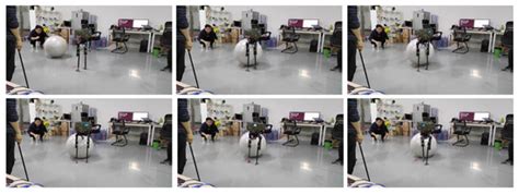 Biomimetics Special Issue Biologically Inspired Design And Control Of Robots