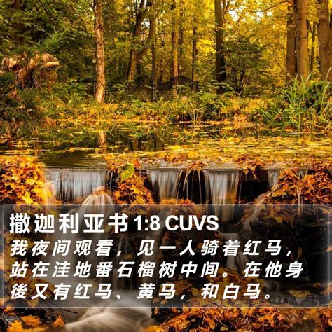 撒 迦 利 亚 书 1 8 CUVS 我 夜 间 观 看 见 一 人 骑 着 红