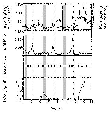 Intercourse Method For Pregnancy