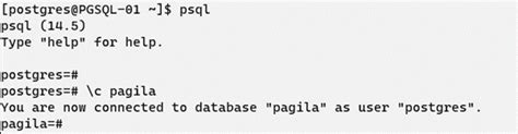 Replicação Lógica Replicando Um Banco De Dados No Postgresql 14 Cdb Data Solutions