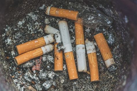 Brutal El Vídeo Que Muestra Pulmones De Fumador Y De No Fumador Fisiomuro