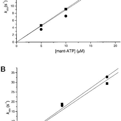 Binding Of Mant Atp And Mant Adp To M765 And M765nl Myosin Motor Download Scientific Diagram