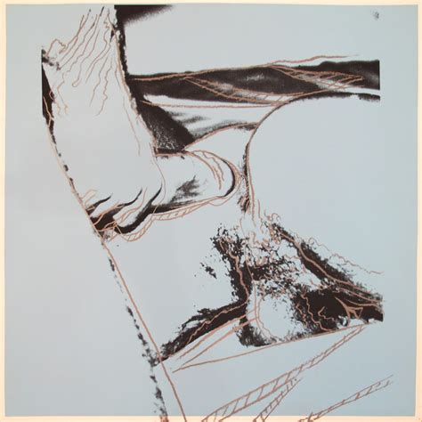 Andy Warhol Sex Parts [ii 172] 1978 Mutualart