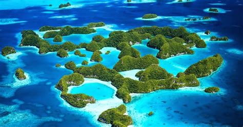 My Ikigai Buri Resort The Philippines And Palau Pacific Resort Palau