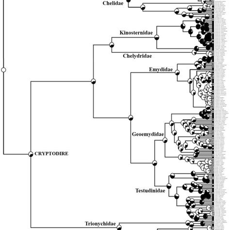 maximum likelihood inference of ancestral states in aestivation status