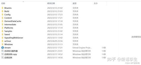 Ue5vue3像素流，保姆级教程 知乎