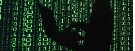 网络热词bug是什么意思 百度经验