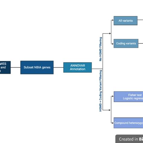 Overview Of Methods For Association And Burden Analyses Download Scientific Diagram