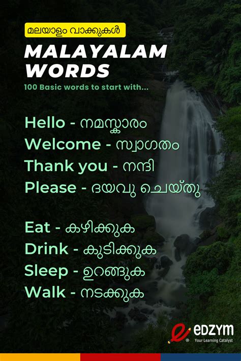 Basic Malayalam Words To Expand Your Malayalam Vocabulary English For
