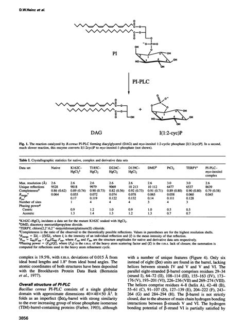 Crystal Structure Of The Phosphatidylinositol Specific Phospholipase C From Bacillus Cereus In