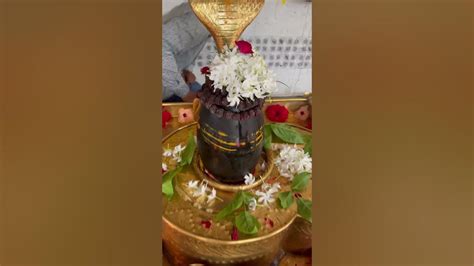 Ganga Dharay Shiv Ganga Dharay 🔱mahadev Status Video 🌷🌿 Shorts