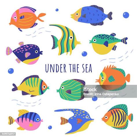 플랫 스타일의 벡터 손으로 그린 만화 물고기 모음입니다 수족관 귀여운 물고기 세트입니다 다양한 종류의 물고기에 대한 벡터 그림