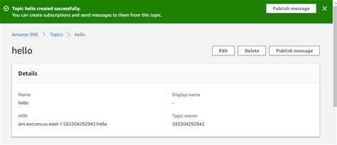 What Is SNS In AWS RI Technologies