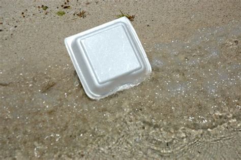 The Heart Breaking Truth Is Styrofoam Biodegradable