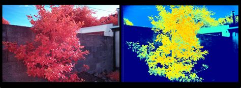 Muonray Ndvi Vegetation Mapping Project With A Nir Converted Mavic 2