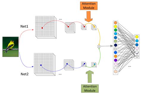 Attention Bilinear Pooling For Fine Grained Classification