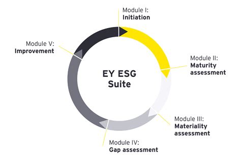Sustainability Reporting And Assurance Services Ey India