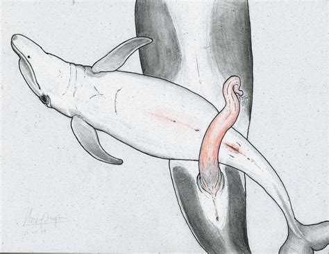 Rule 34 2019 Anatomically Correct Anatomically Correct Genitalia