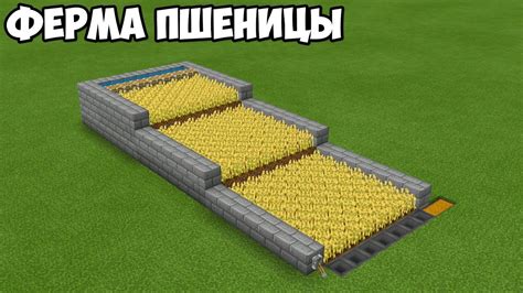 Полуавтоматическая Ферма Пшеницы в Майнкрафте Youtube