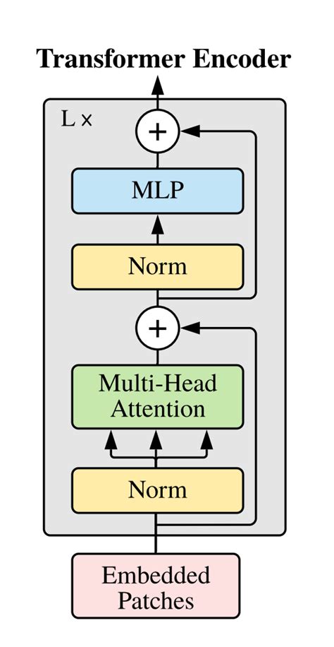 Vit（vision Transformer）模型代码超级详细讲解（pytorch实现）vit模型代码 Csdn博客