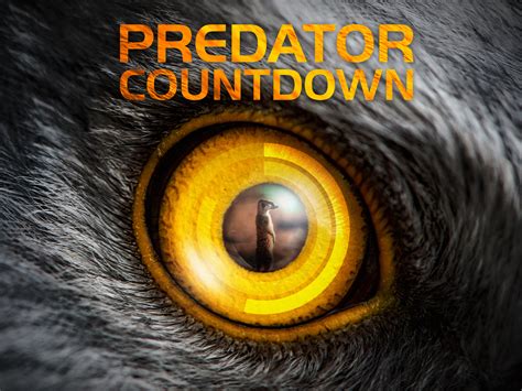 Prime Video Predator Countdown