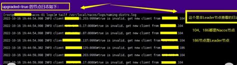 Nacos203 3节点集群，重启后数据节点不一致 · Issue 9332 · Alibabanacos · Github