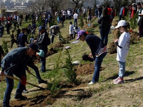 Таджикистан озеленит более 4 тысяч гектаров до конца 2025 года в рамках